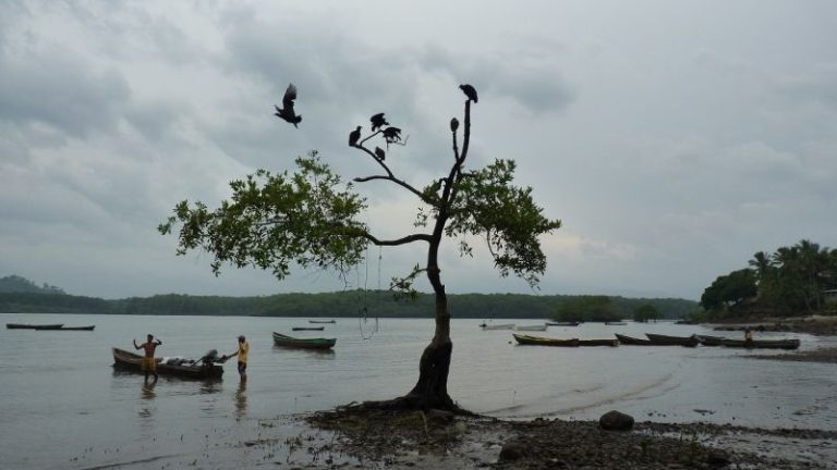 CULTURA – Municipio de Chimán